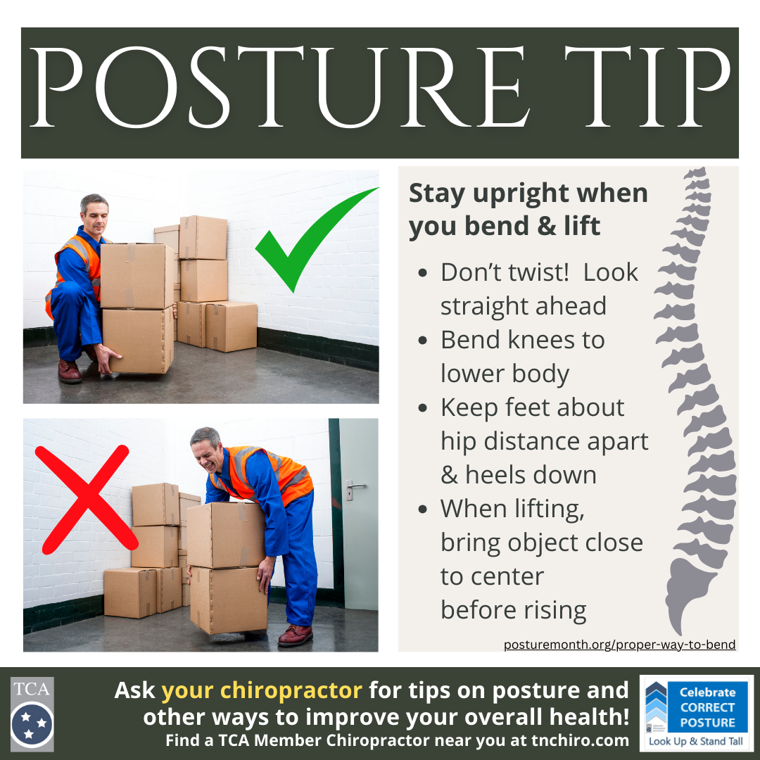 Tennessee Chiropractic Association | Tennessee Chiropractic Education ...